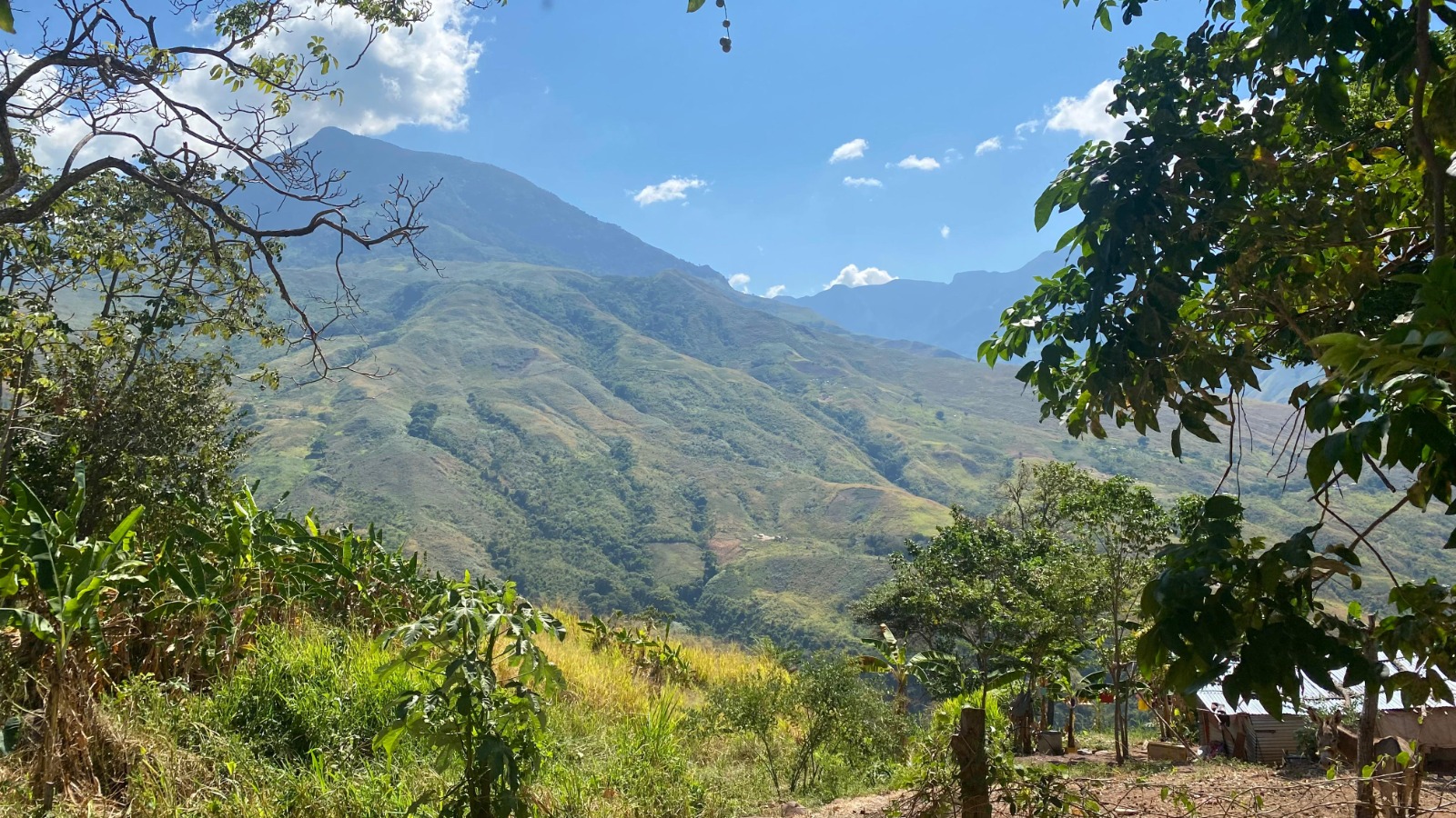 Familias yukpas trabajan en la restauración de la Serranía del Perijá