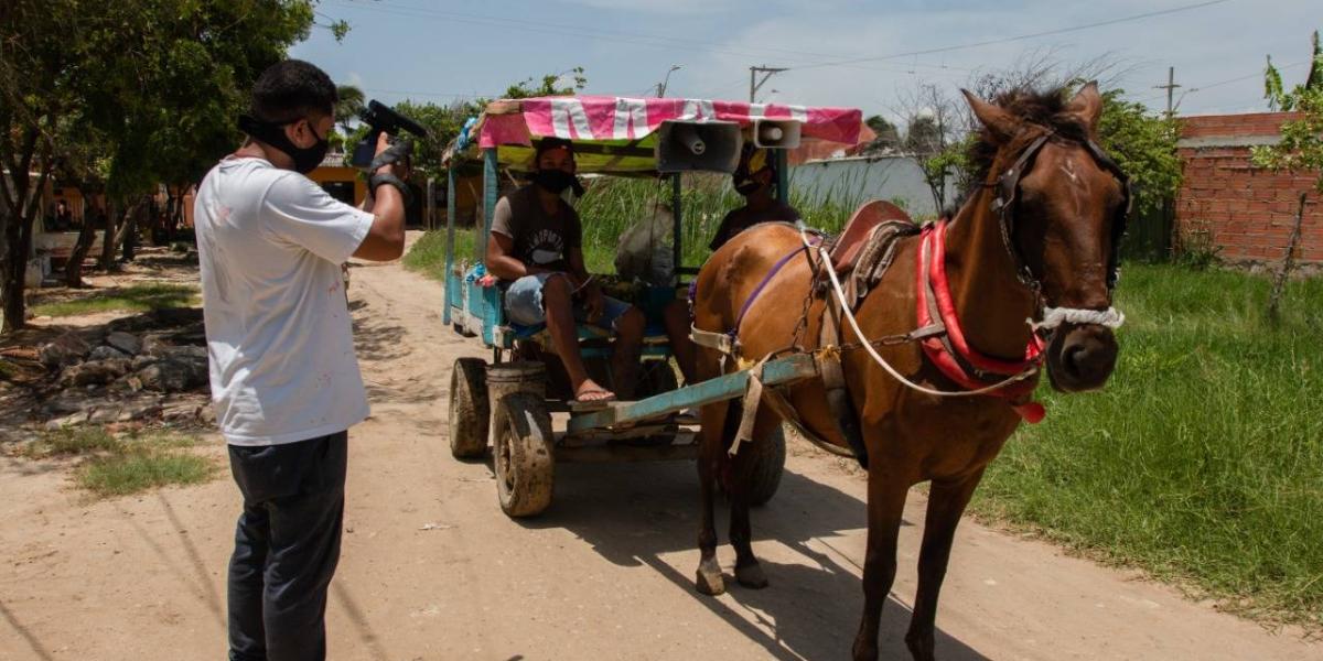 Prohibición de carros de mula en Barranquilla a partir del 15 de enero